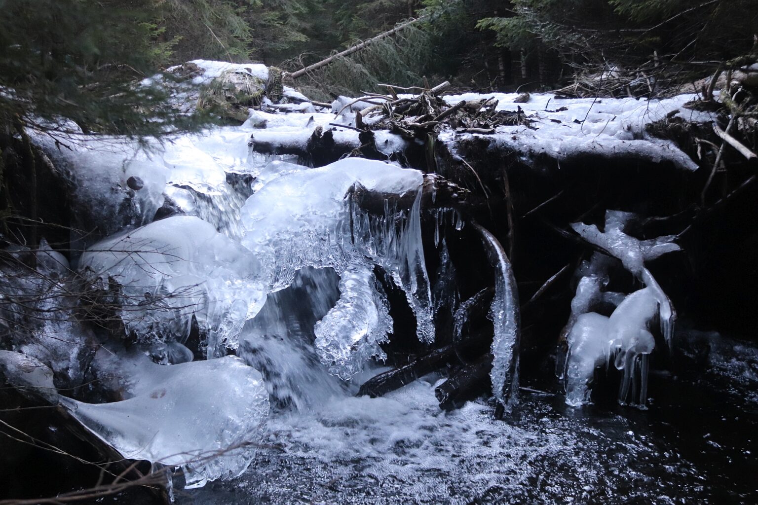 Úvodní stránka - Šumava.eu - webkamery, zpravodajství, počasí, uzdravuje,